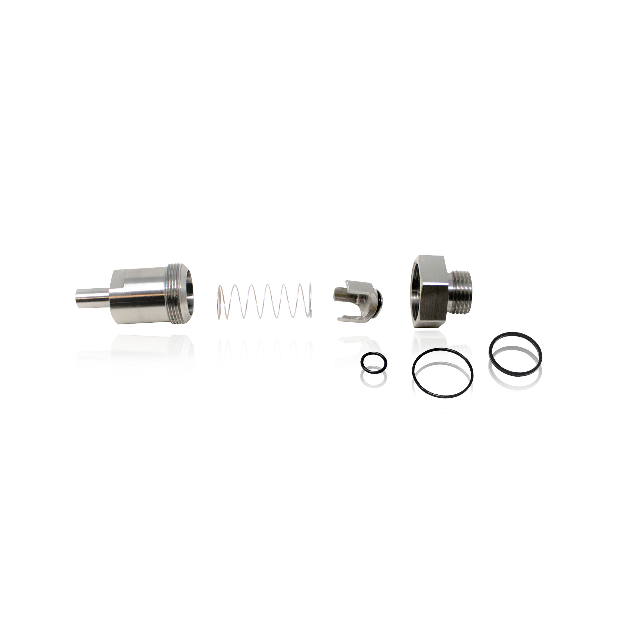 Check Valve O-Ring Kit